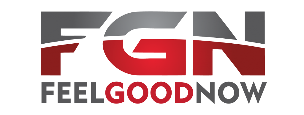 Learn to Fly – FGN